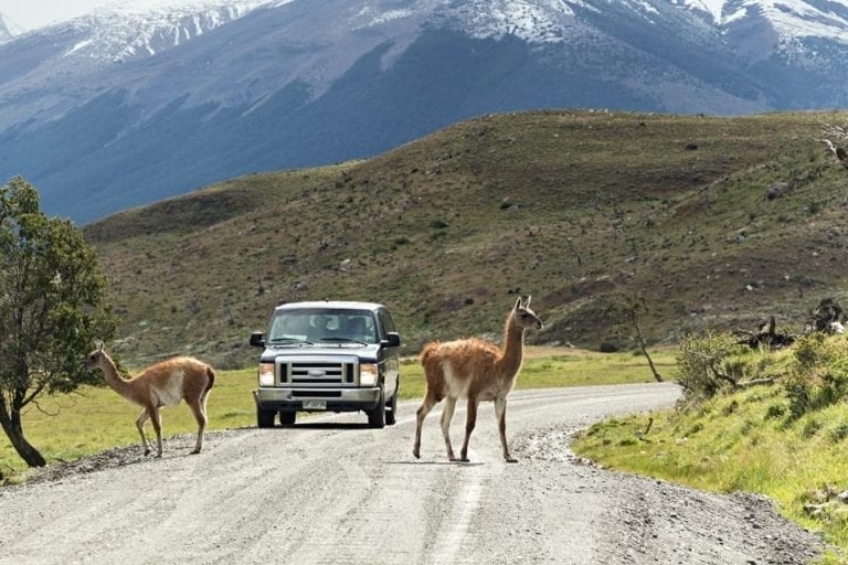 Driving in Patagonia: a complete guide on how to stay safe