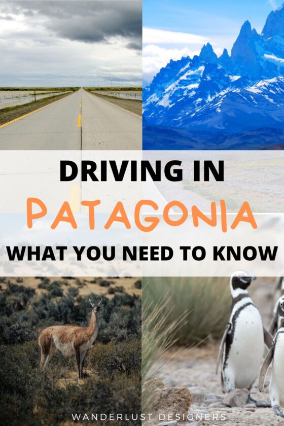 Driving in Patagonia: a complete guide on how to stay safe